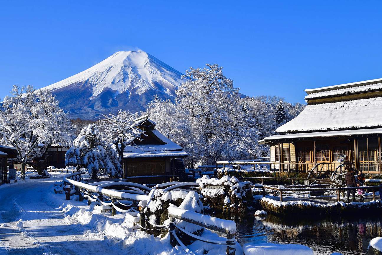 Mount Fuji, Arakurayama Park, Oshino Hakkai, and Lake Kawaguchiko Bus ...